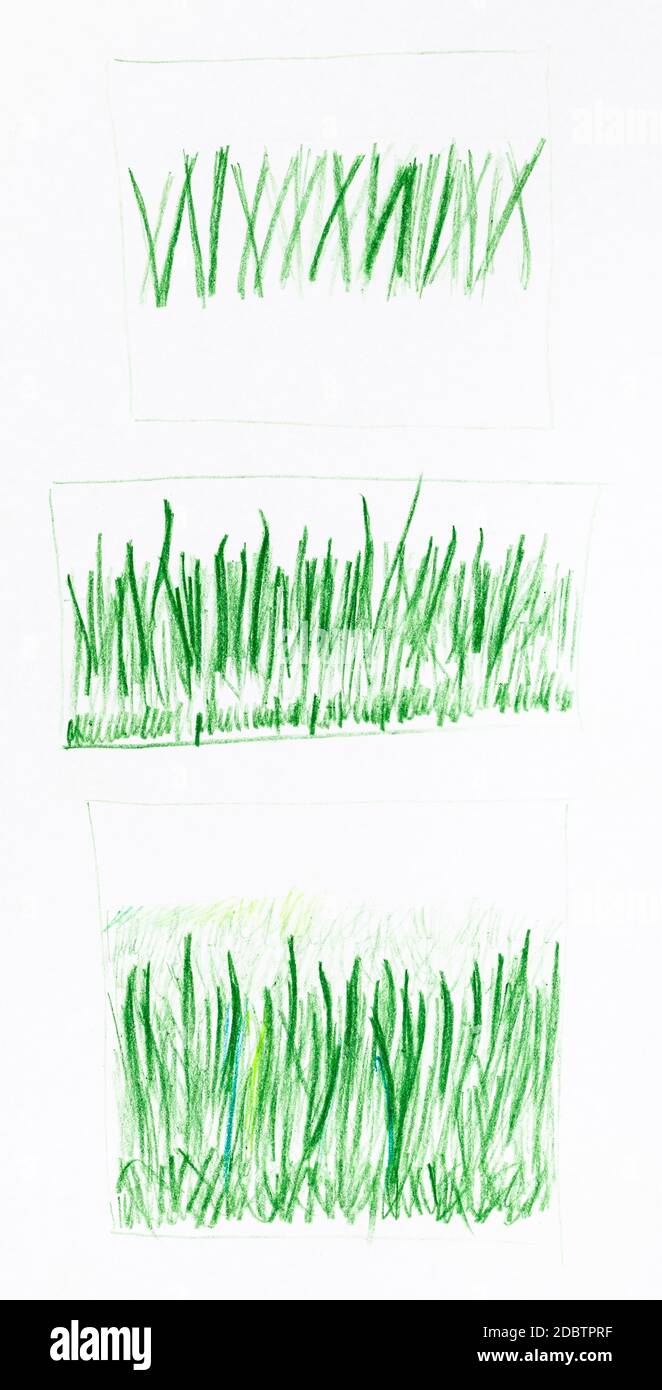 successive training sketches of green grass hand-drawn by green pencil ...