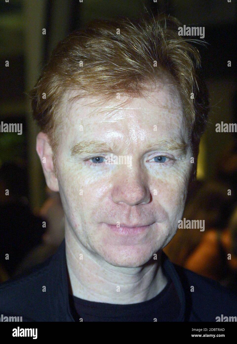 Adam Caruso High Resolution Stock Photography and Images - Alamy