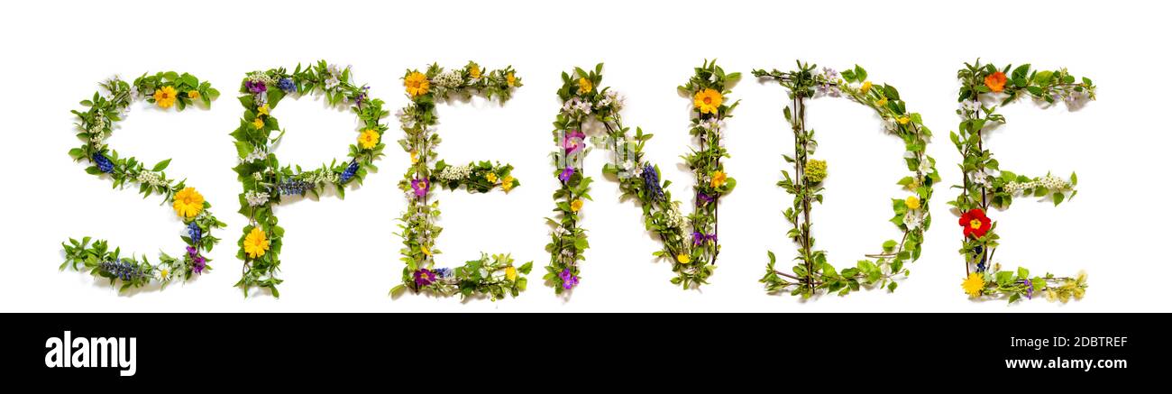 Flower, Branches And Blossom Letter Building German Word Spende Means ...