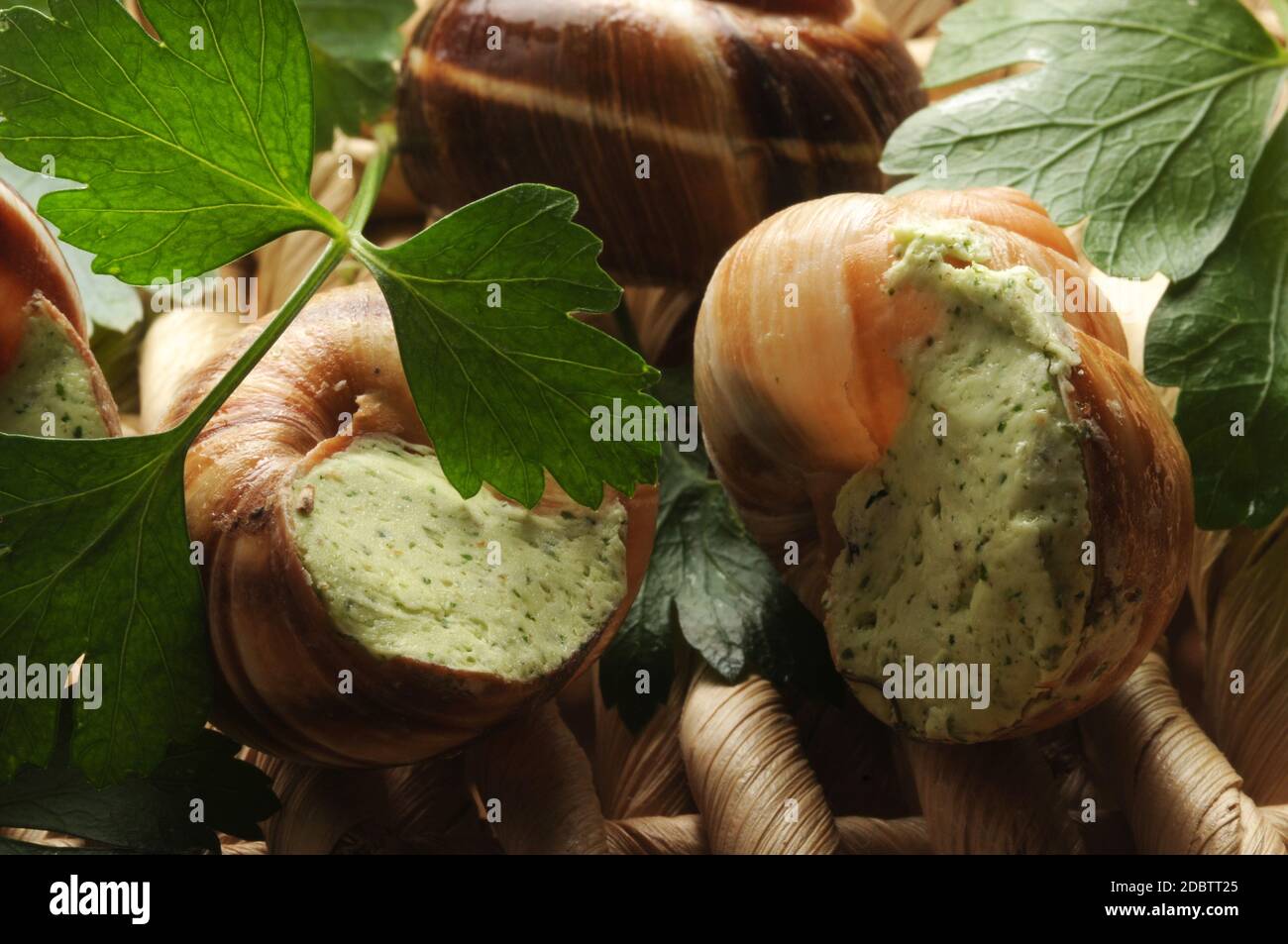 Frozen snails on fresh parsley Stock Photo - Alamy