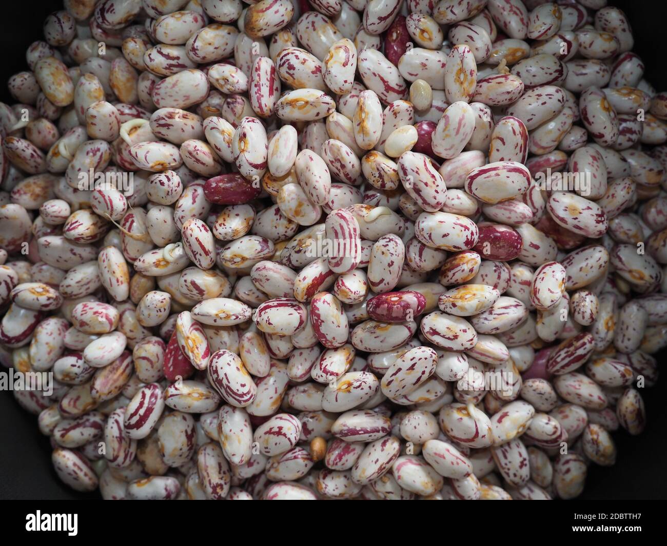 crimson beans, variety of common bean legumes vegetarian food ...