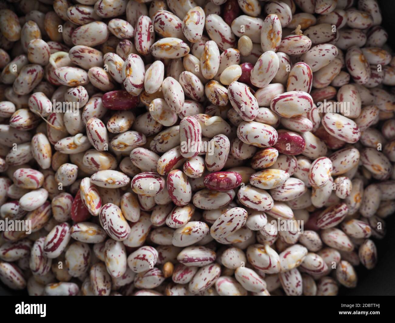 crimson beans, variety of common bean legumes vegetarian food ...