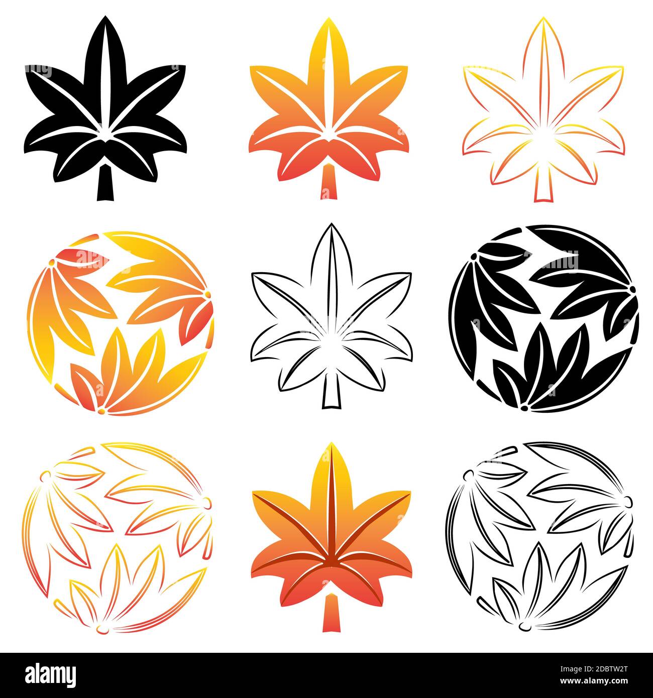 The stylized set maple leaves, Japanese symbolism. Vector illustration ...