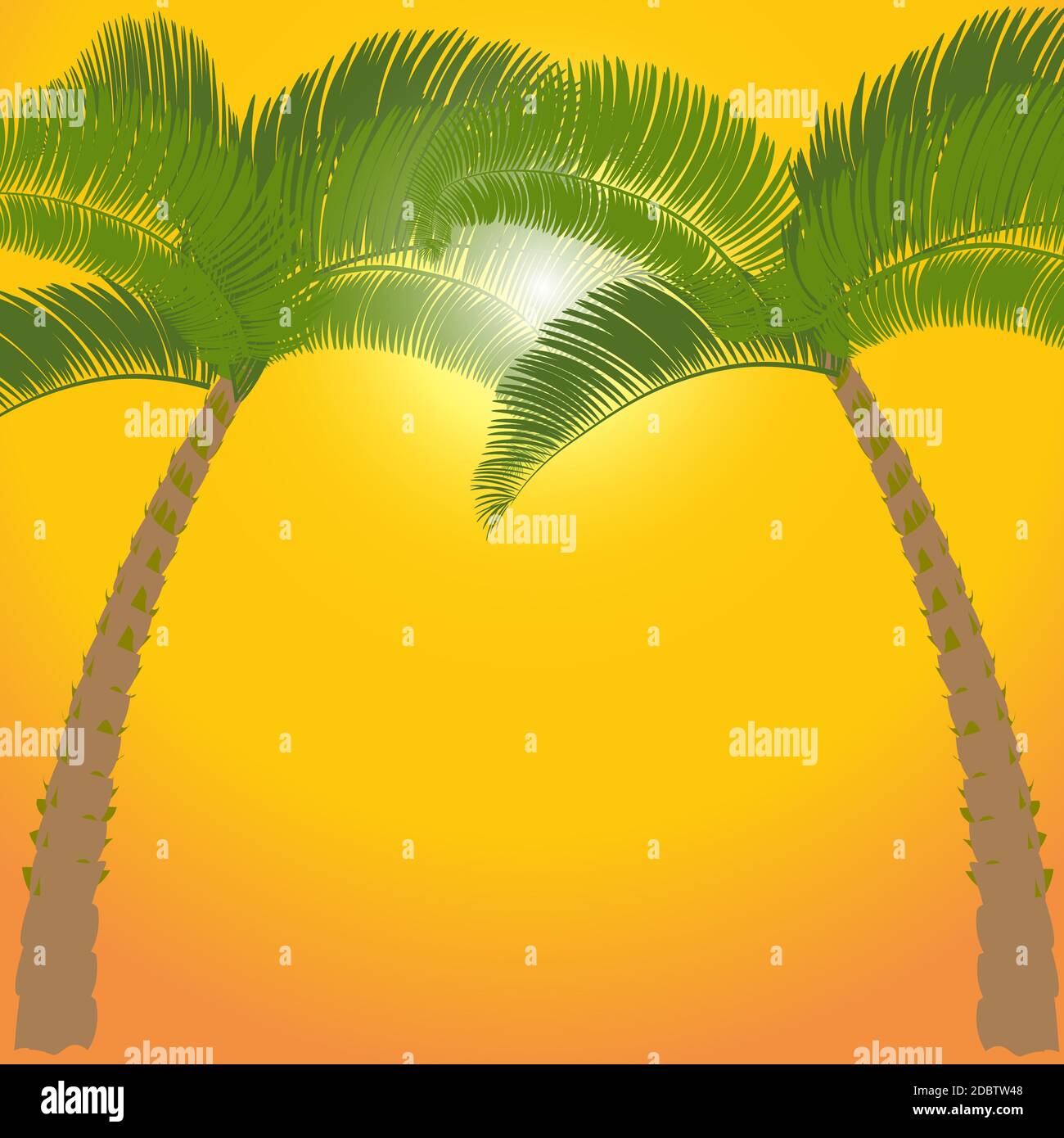 Two palm tree on orange background. Vector illustration Stock Photo - Alamy