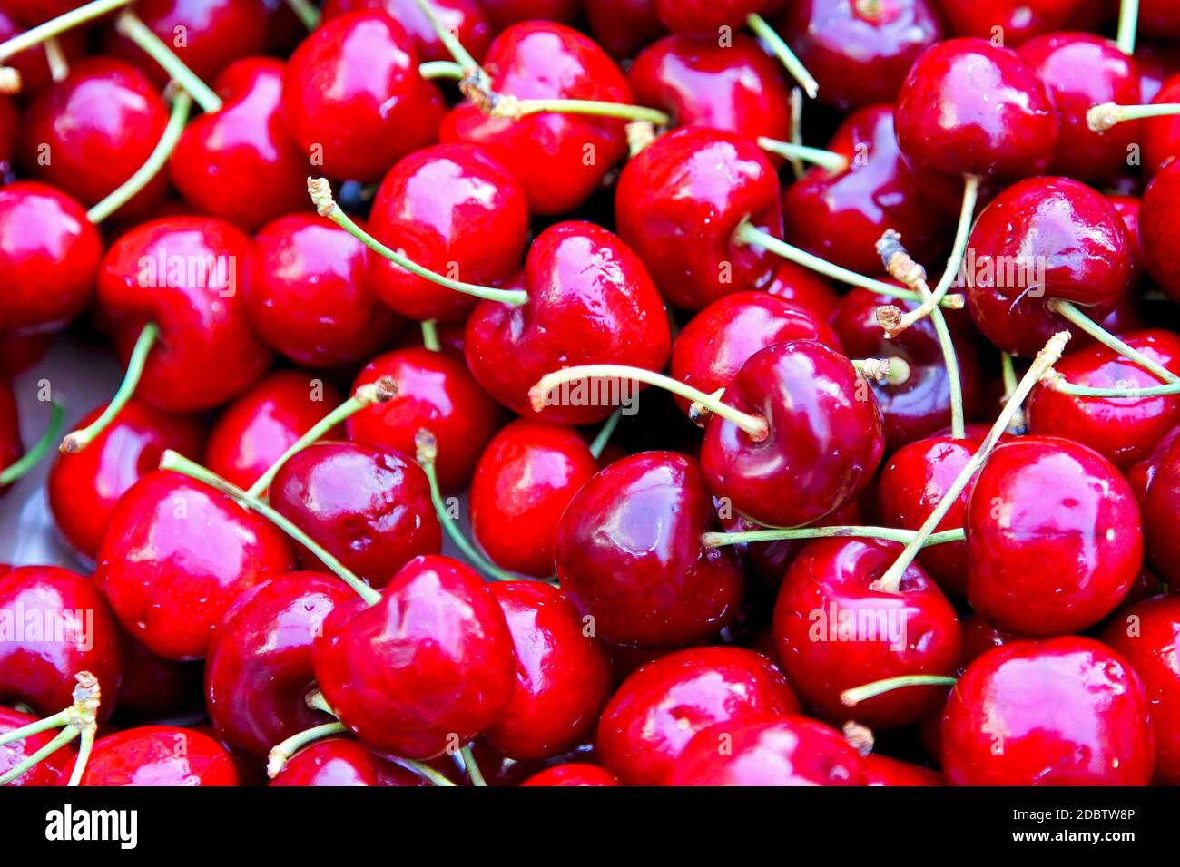 Pile of big juicy organic red cherries Stock Photo - Alamy