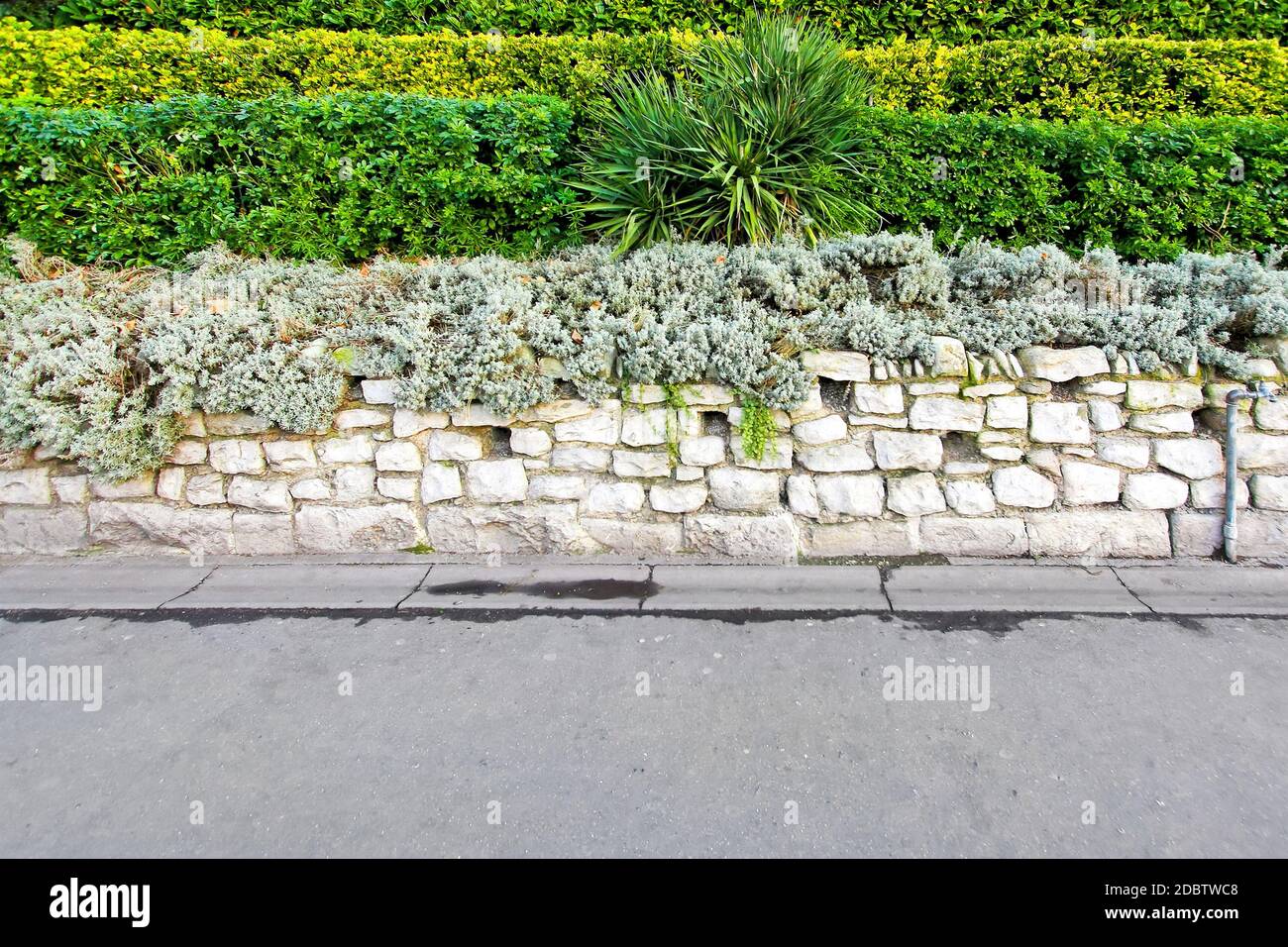 Green park wall with several plant layers Stock Photo - Alamy