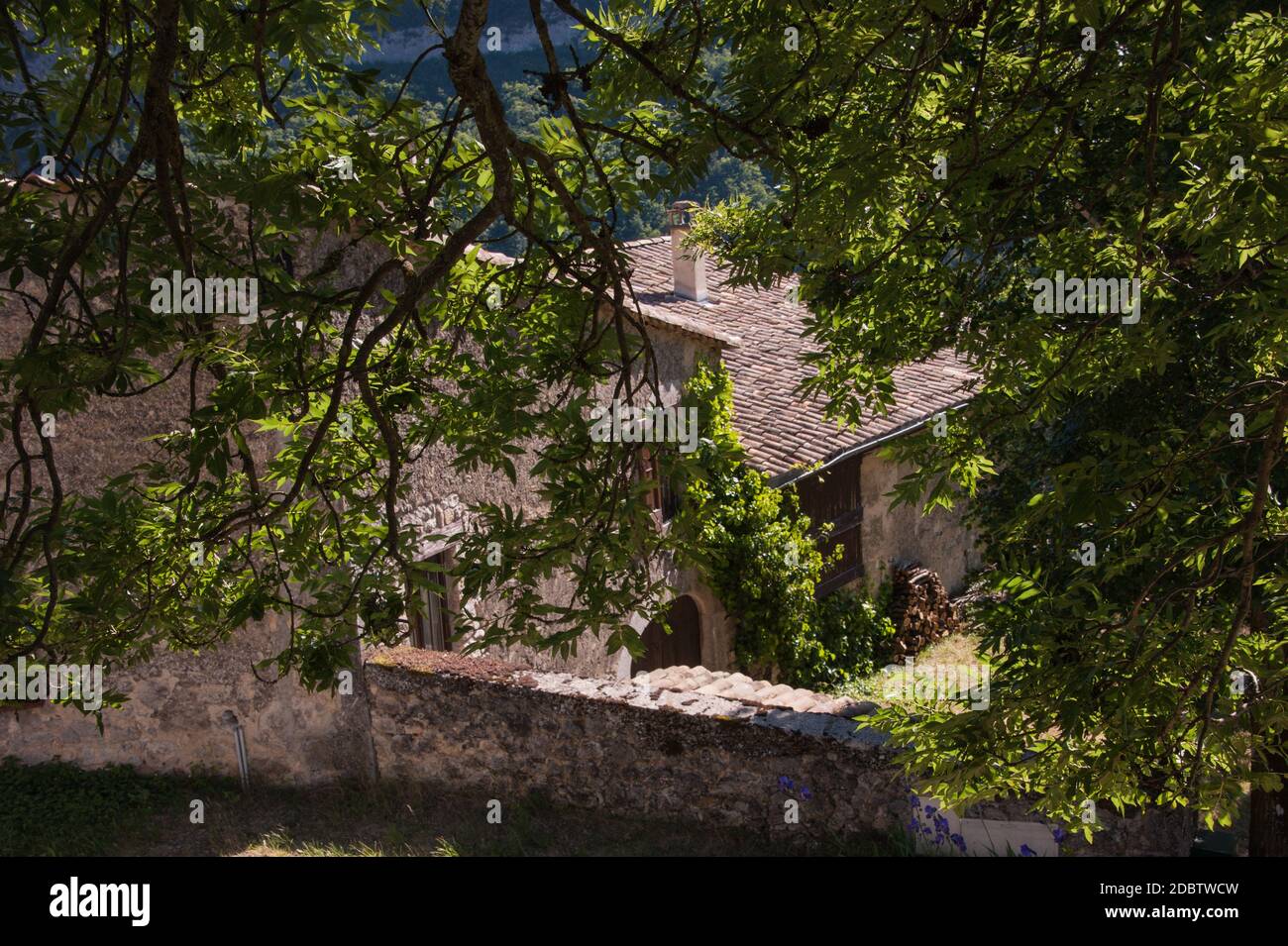 Savel hi-res stock photography and images - Alamy