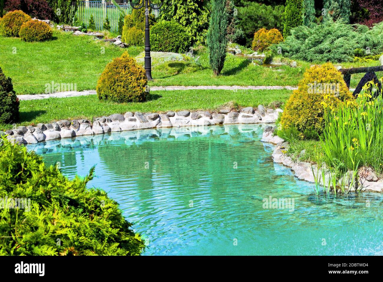 Small water pond in nice green park Stock Photo - Alamy