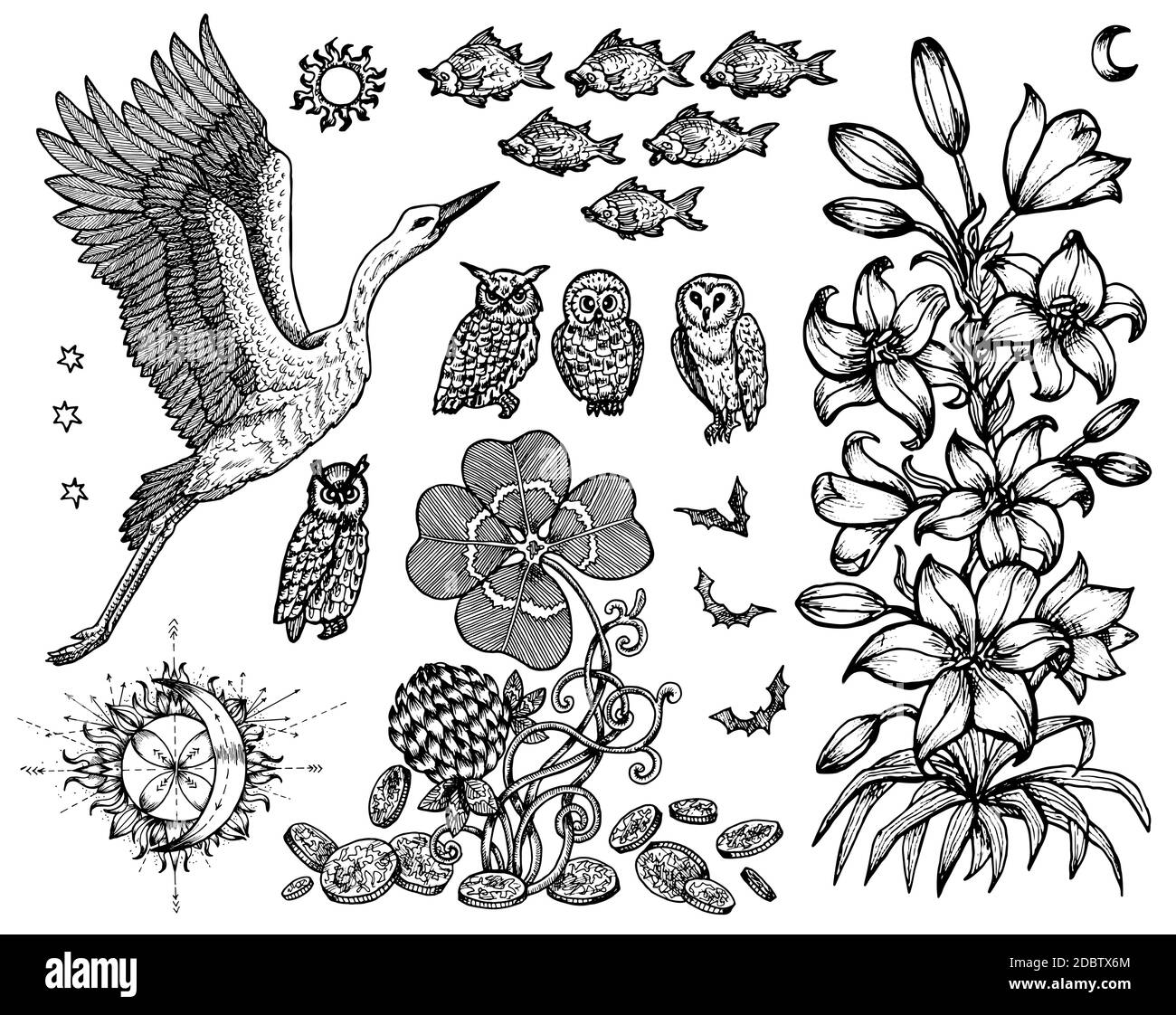 Design set with stork, lily, fish and nature symbols isolated on white ...