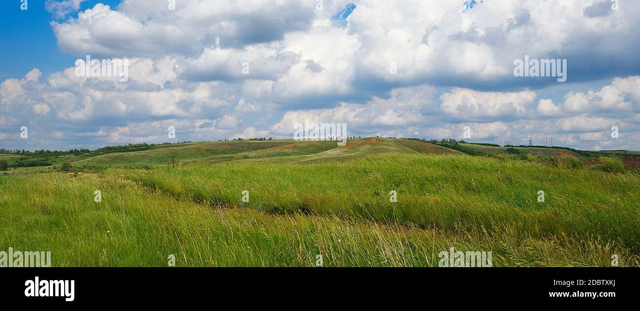 Summer natural landscape, meadow, field with a path, fresh green grass ...