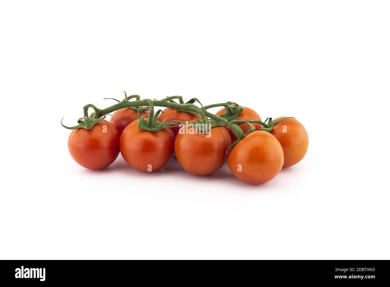Fresh cherry tomato twig isolated on white background Stock Photo - Alamy