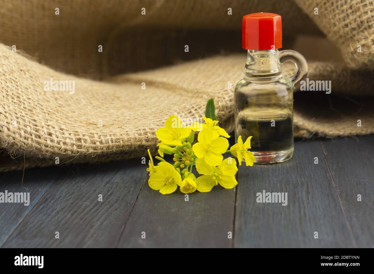 Yellow canola or rapeseed flowers with a small glass decanter of oil on ...