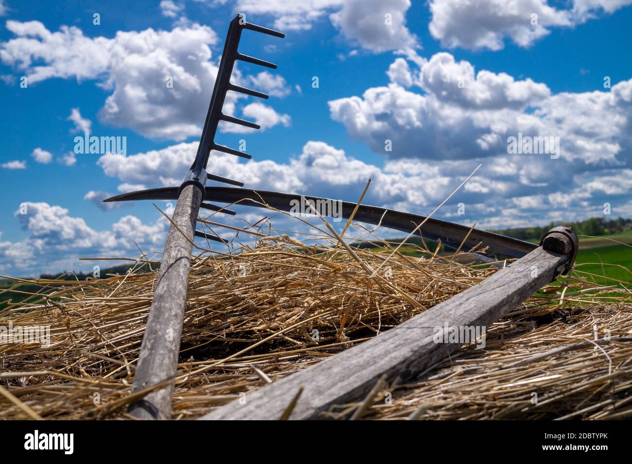 Rake and scythe on dried straw against a sunny blue sky with white ...