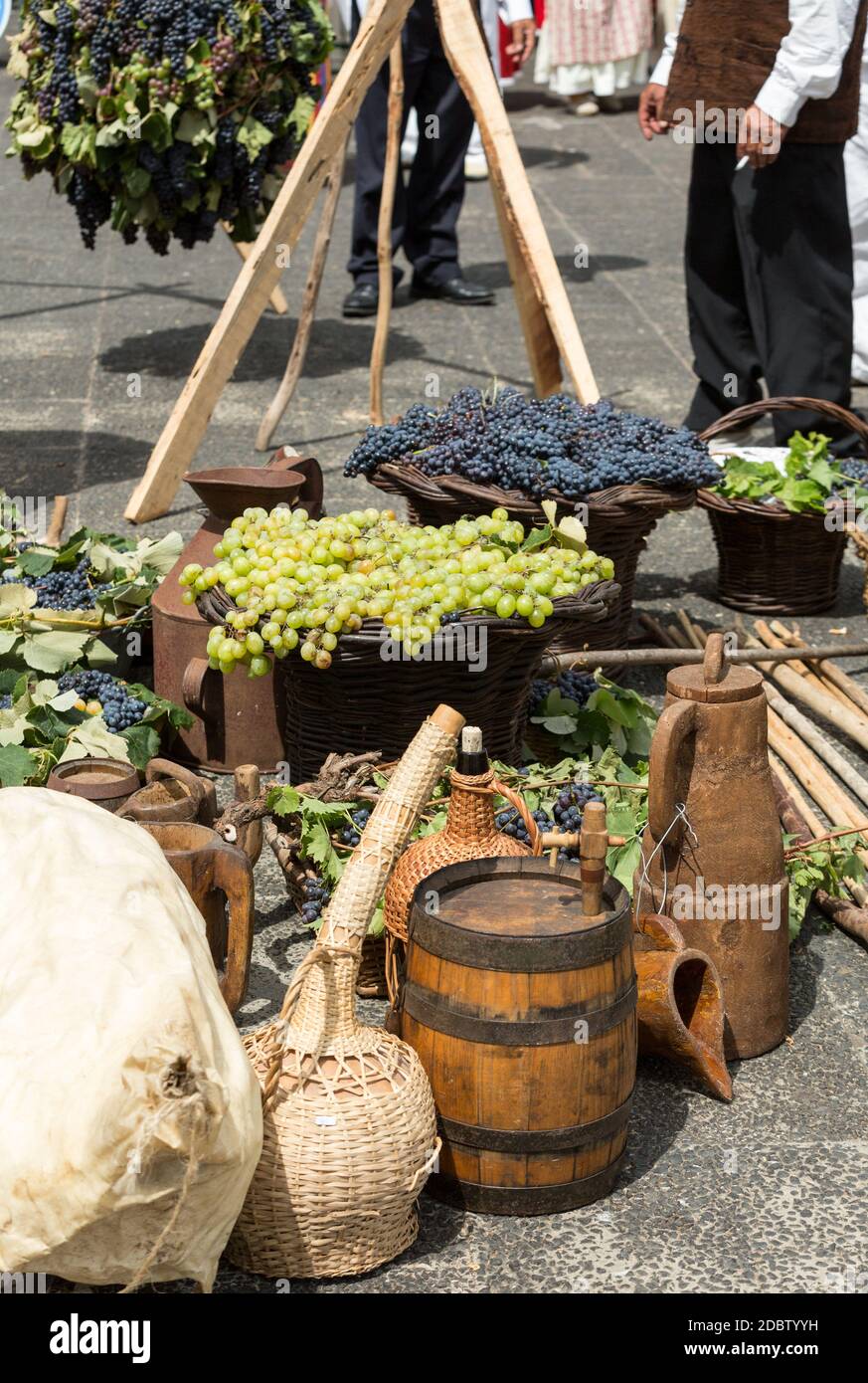 old barrel and tools for wine production and baskets with grapes Stock ...