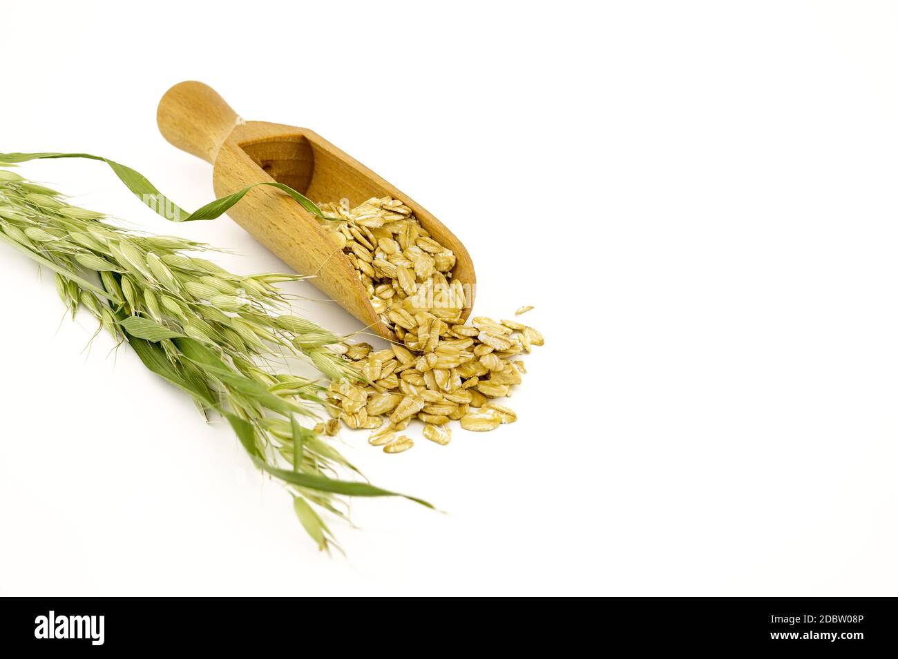 Oat flakes in wooden scoop and an oat branch isolated on white ...
