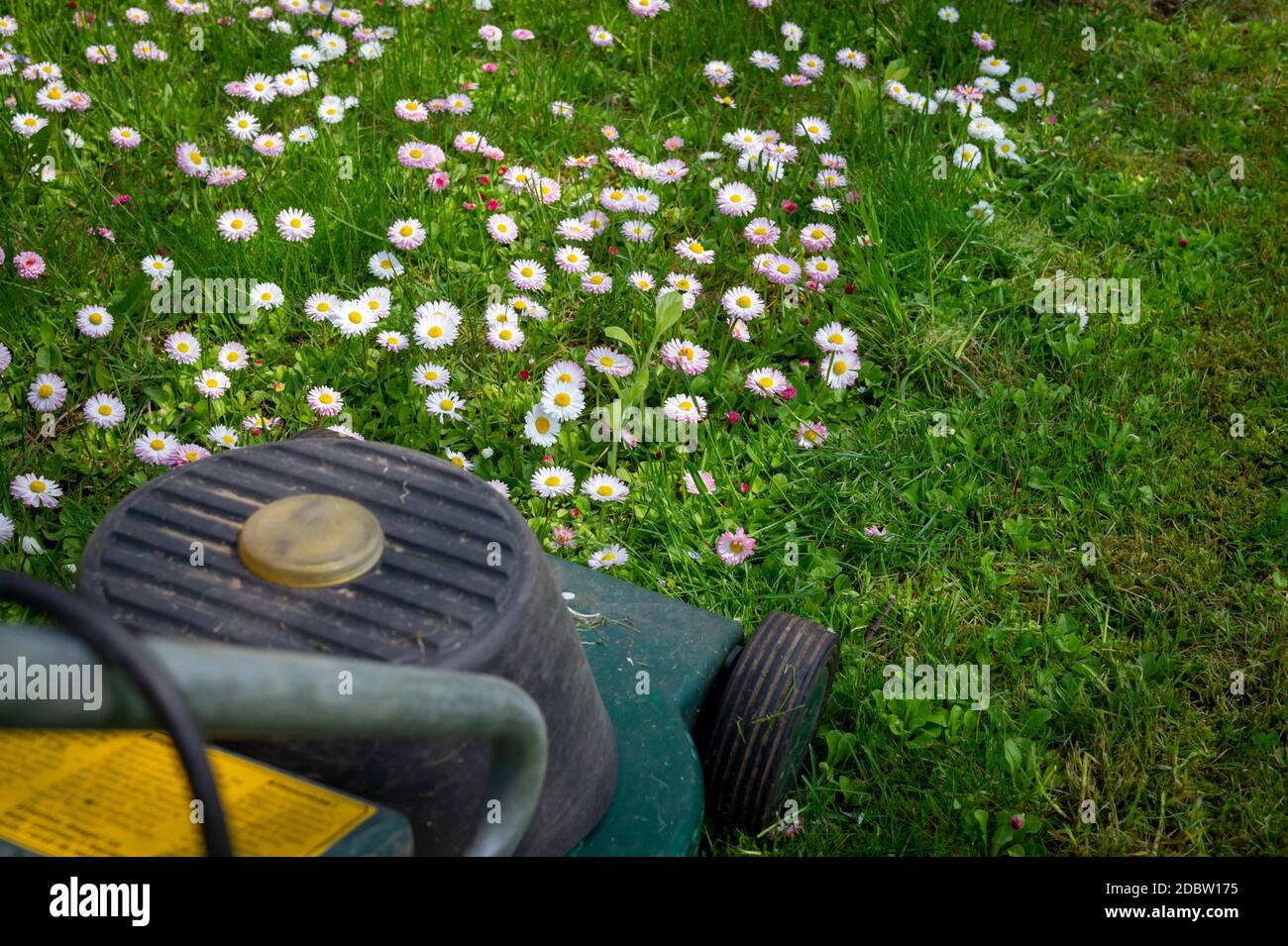 Seasons and yard maintenance concept with electric lawn mower and ...