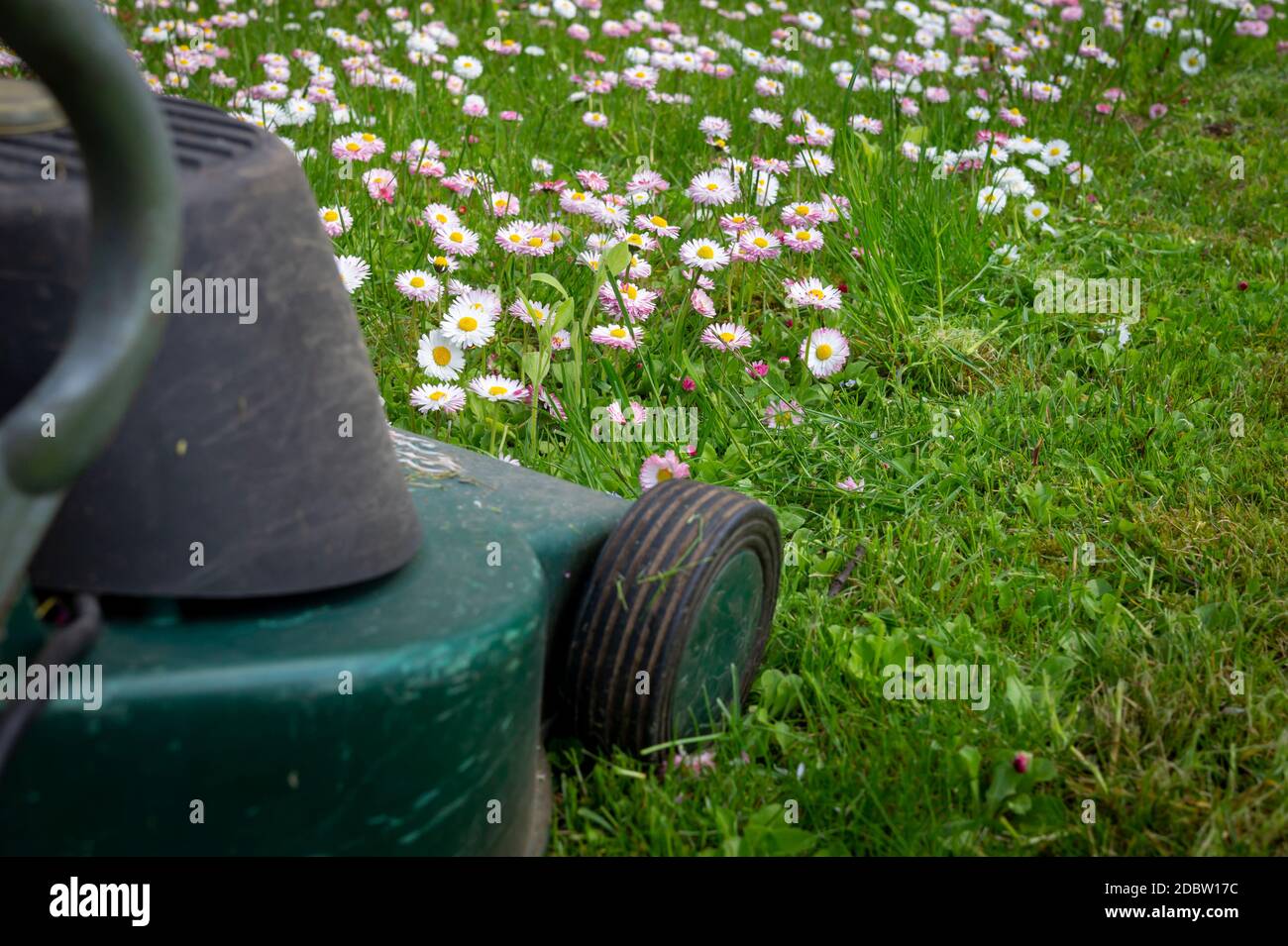 Seasons and yard maintenance concept with electric lawn mower and ...