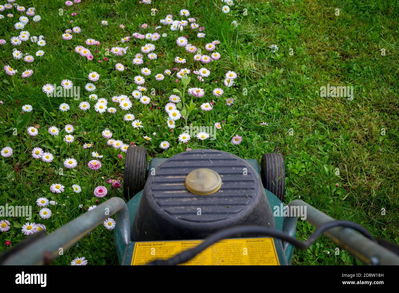 Seasons and yard maintenance concept with electric lawn mower and ...