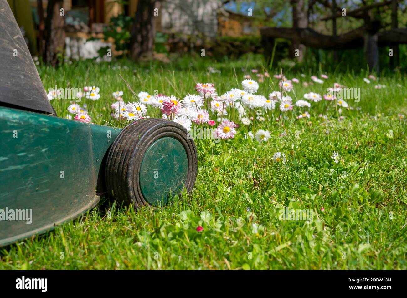 Seasons and yard maintenance concept with electric lawn mower and ...