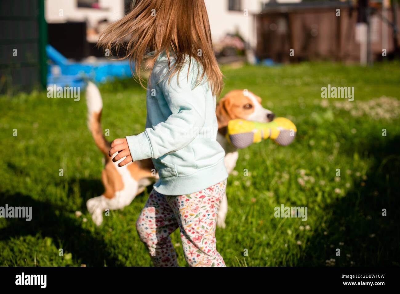 Girl chasing dog hi-res stock photography and images - Alamy