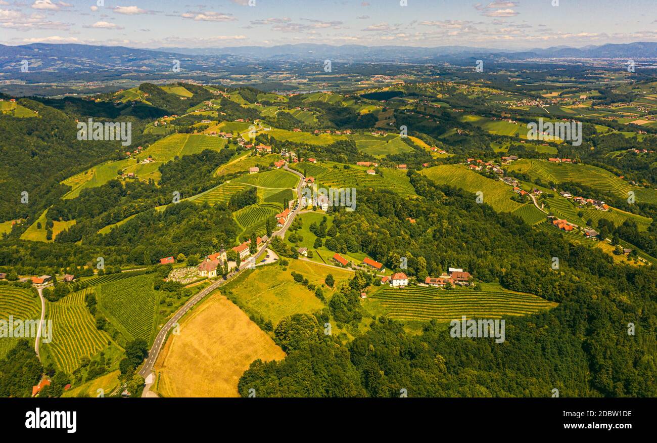 Aerial panorama of of green hills and vineyards with mountains in ...