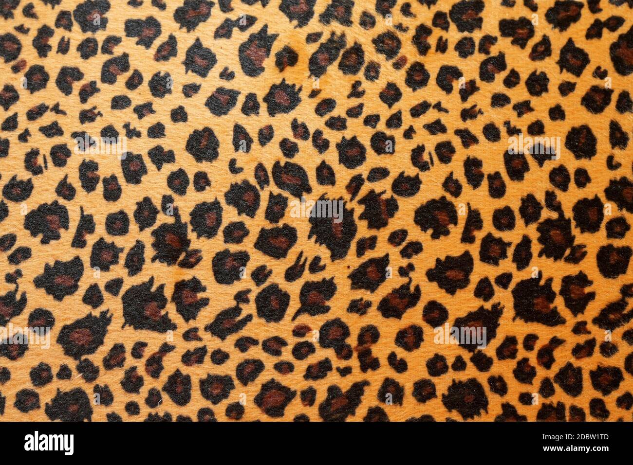 Wild African animal hide pattern brown jaguar Stock Photo - Alamy