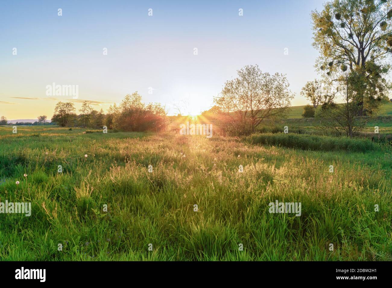 An idyllic evening landscape on a meadow field Stock Photo - Alamy