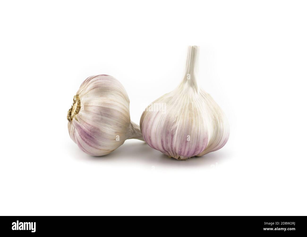 Garlic bulbs in close-up isolated on white background Stock Photo - Alamy