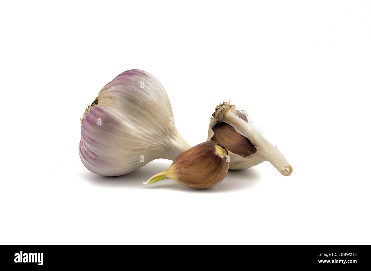 Garlic bulbs and cloves in close-up isolated on white background Stock ...