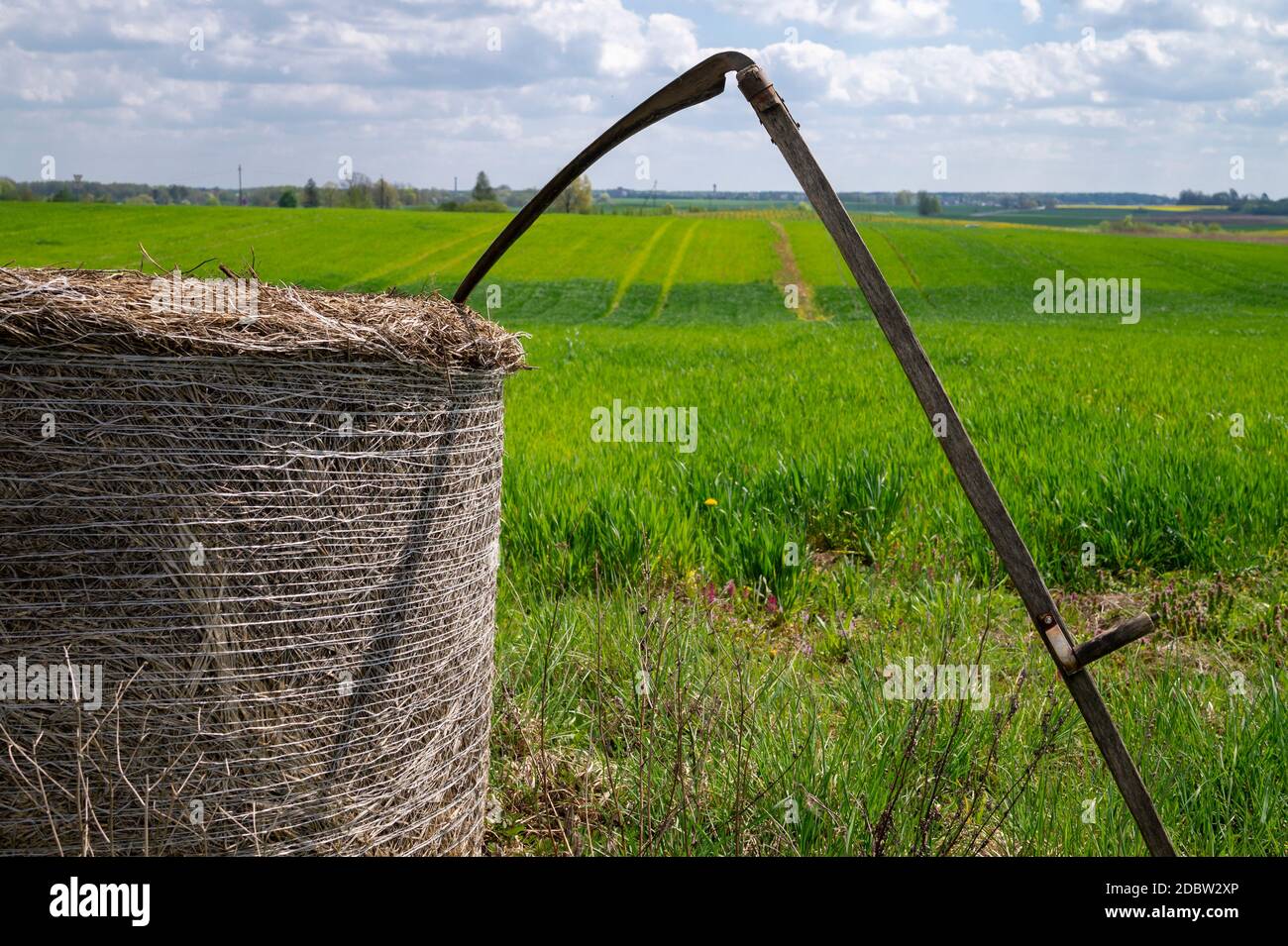 Scythe resting up against freshly harvested hay in a lush green farm ...