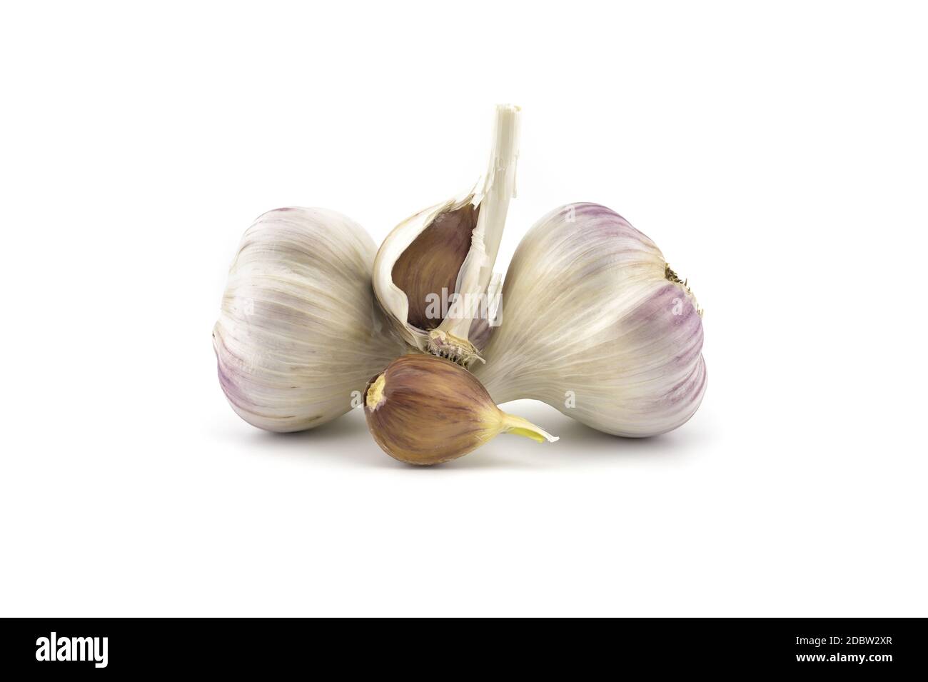 Garlic bulbs and cloves in close-up isolated on white background Stock ...