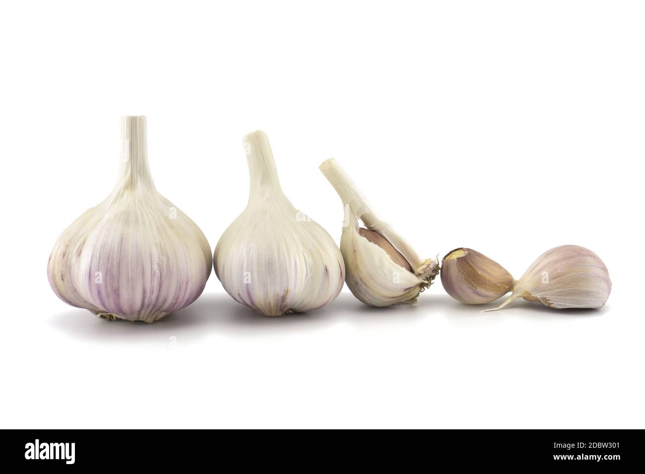 Garlic bulbs and cloves in close-up isolated on white background Stock ...