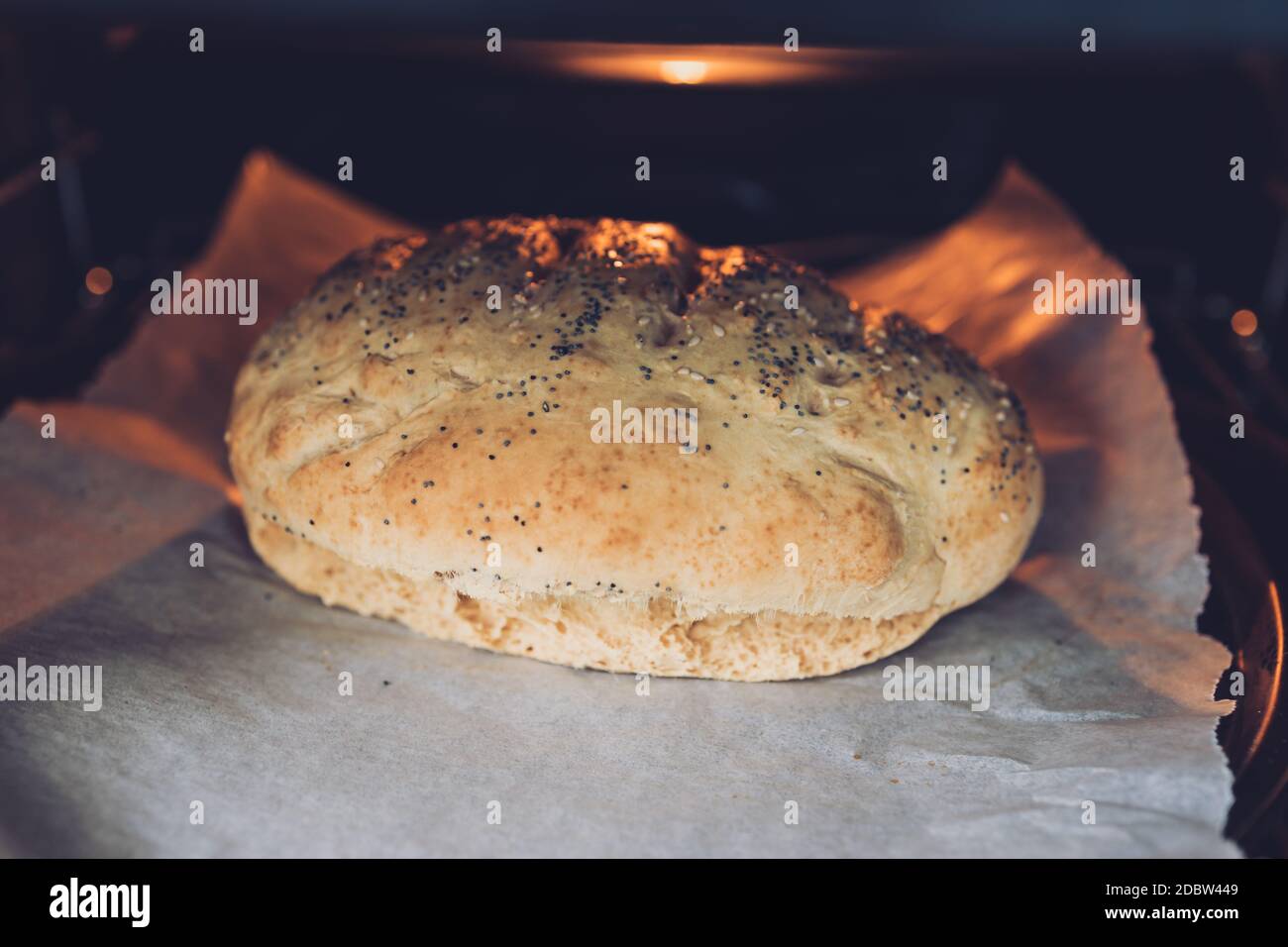 simple food ingredients concept, homemade australian damper bread ...