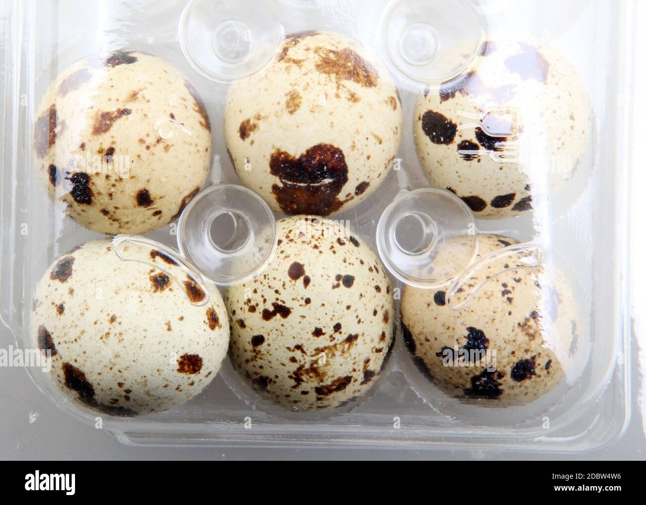 Image Of Fresh Quail Eggs In A Package Stock Photo - Alamy