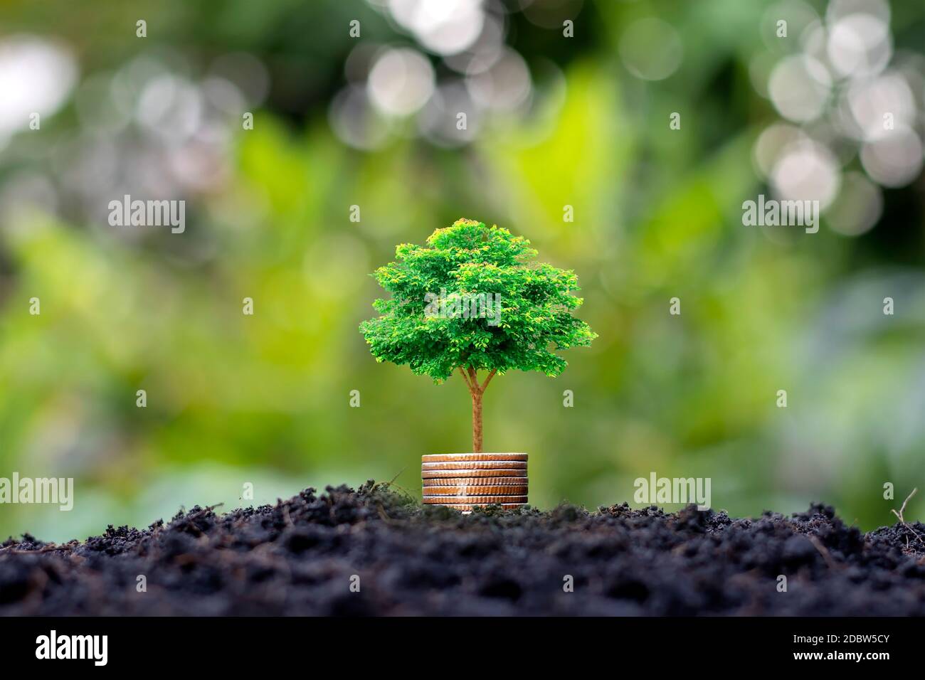 Small trees with green leaves grow on coins or money that overlap ...
