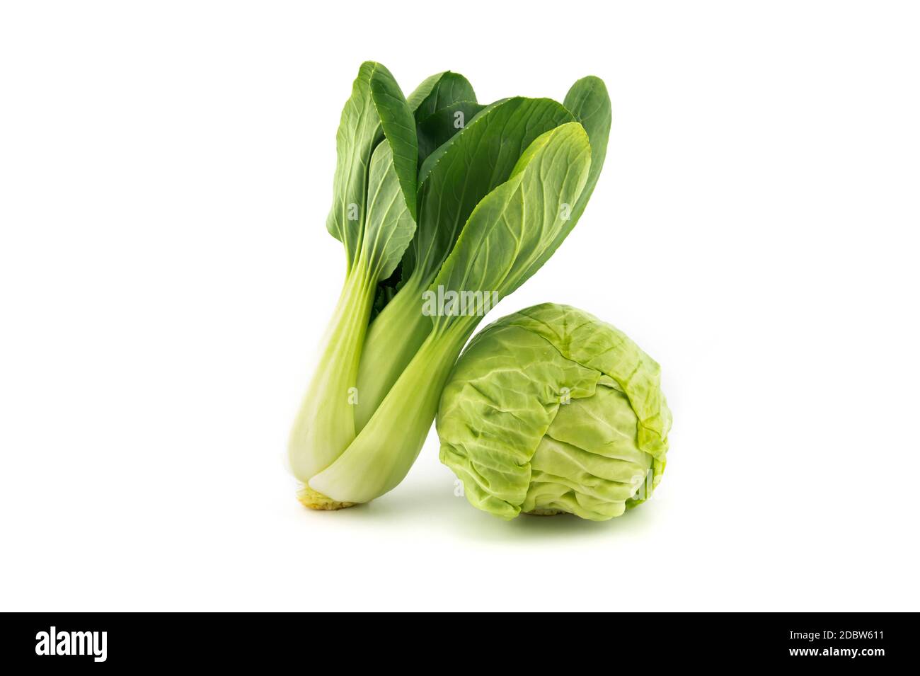 Fresh pak choi cabbage or chinese cabbage and white cabbage isolated on ...