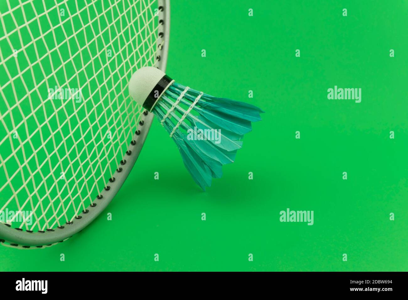 Badminton rackets and blue feathered shuttlecocks on green background ...