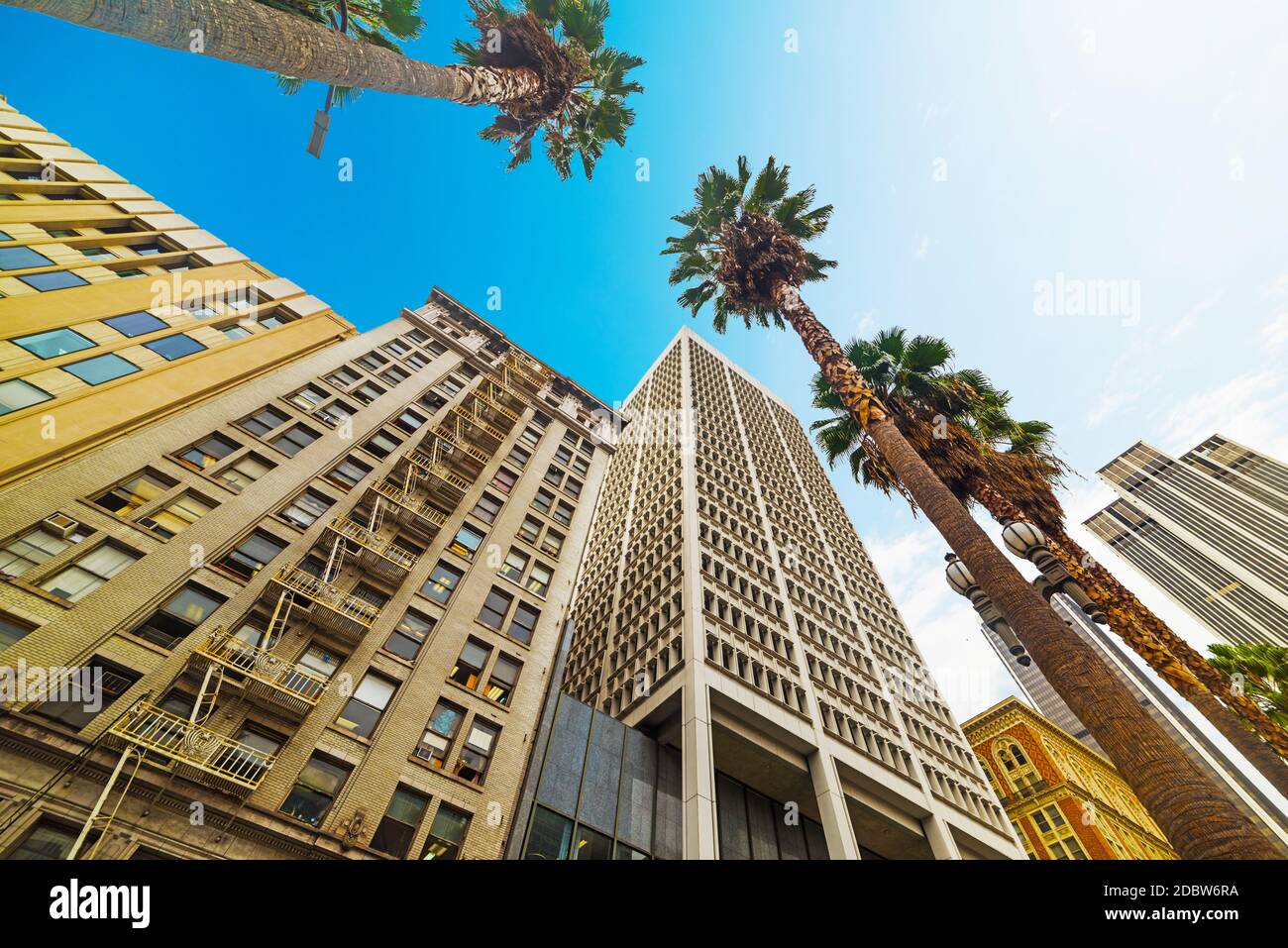palm trees in Los Angeles, California Stock Photo - Alamy