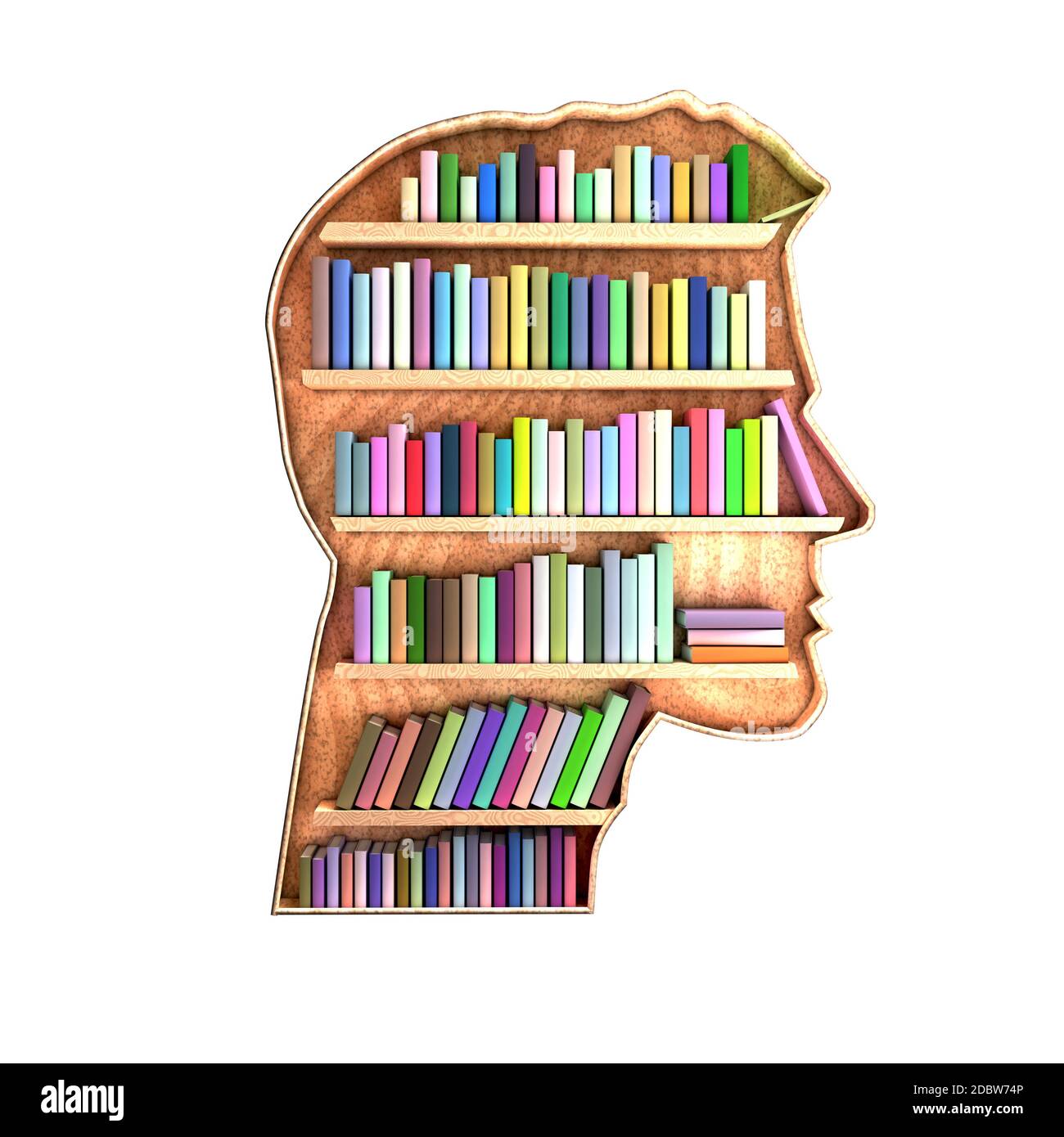 Head shaped library containing books on shelves. Brain concept ...