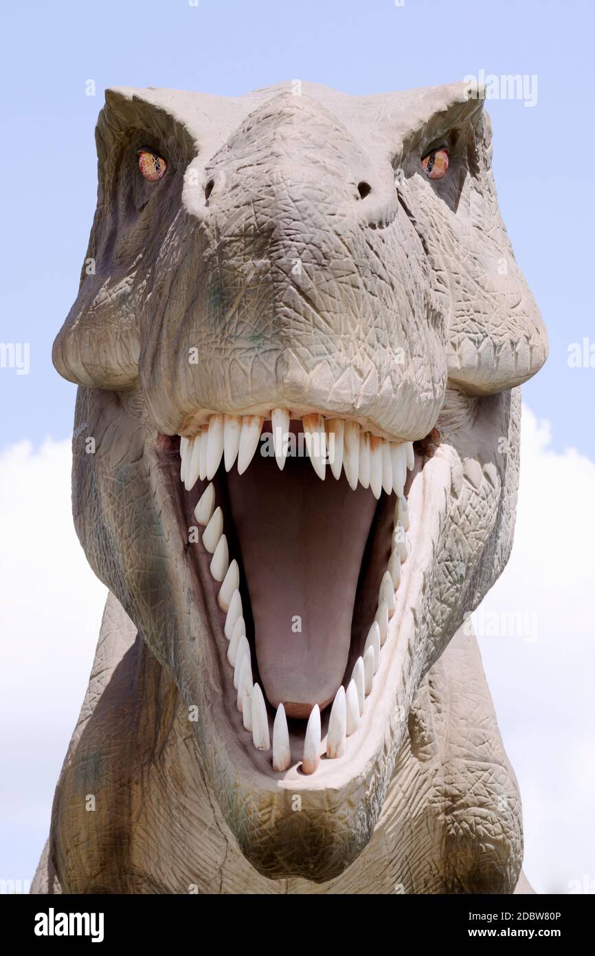 Front view animal portrait of extinct tyrannosaurus rex dinosaur Stock ...