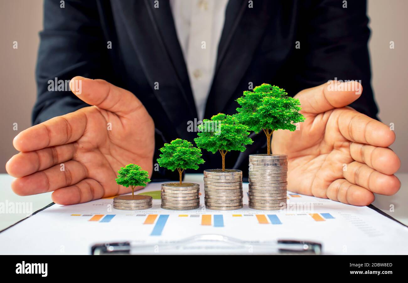 The green tree growing on coins increases in different ways, including ...