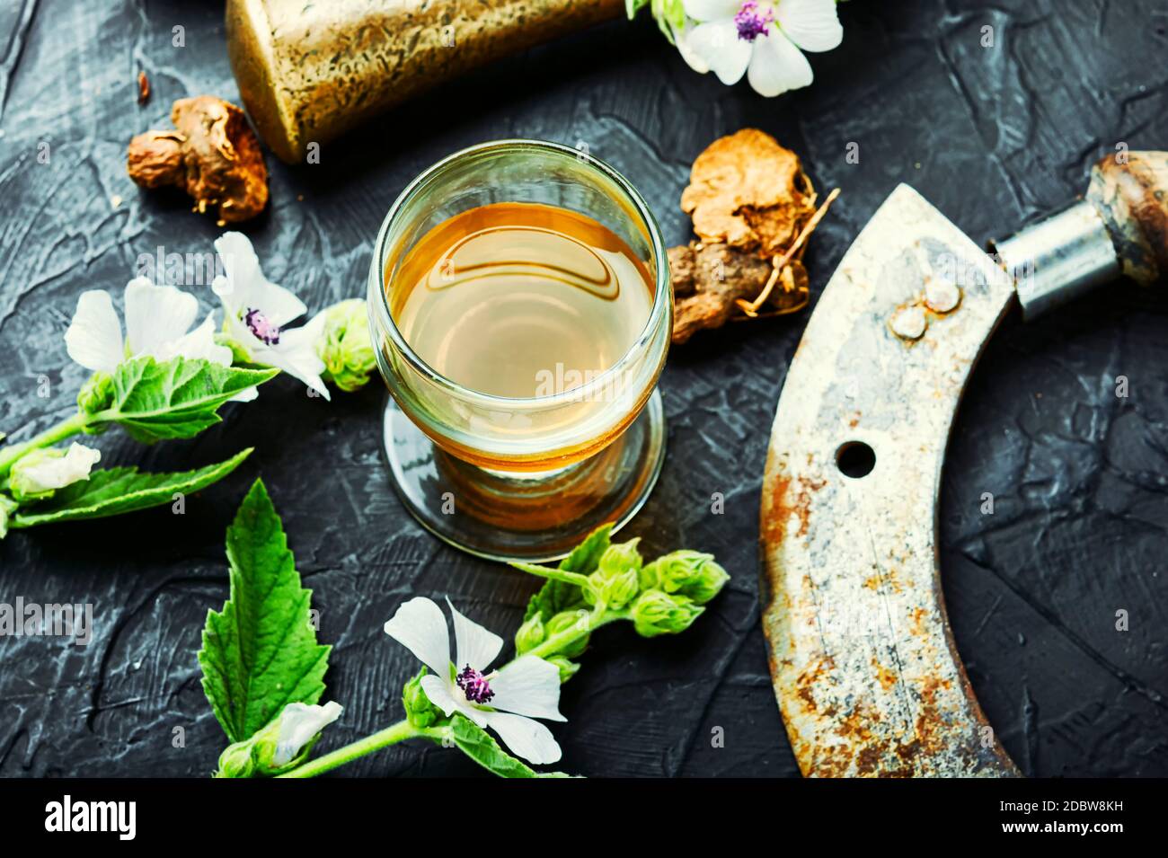 Wild medicinal herbal teas and althea root elixirs Stock Photo - Alamy