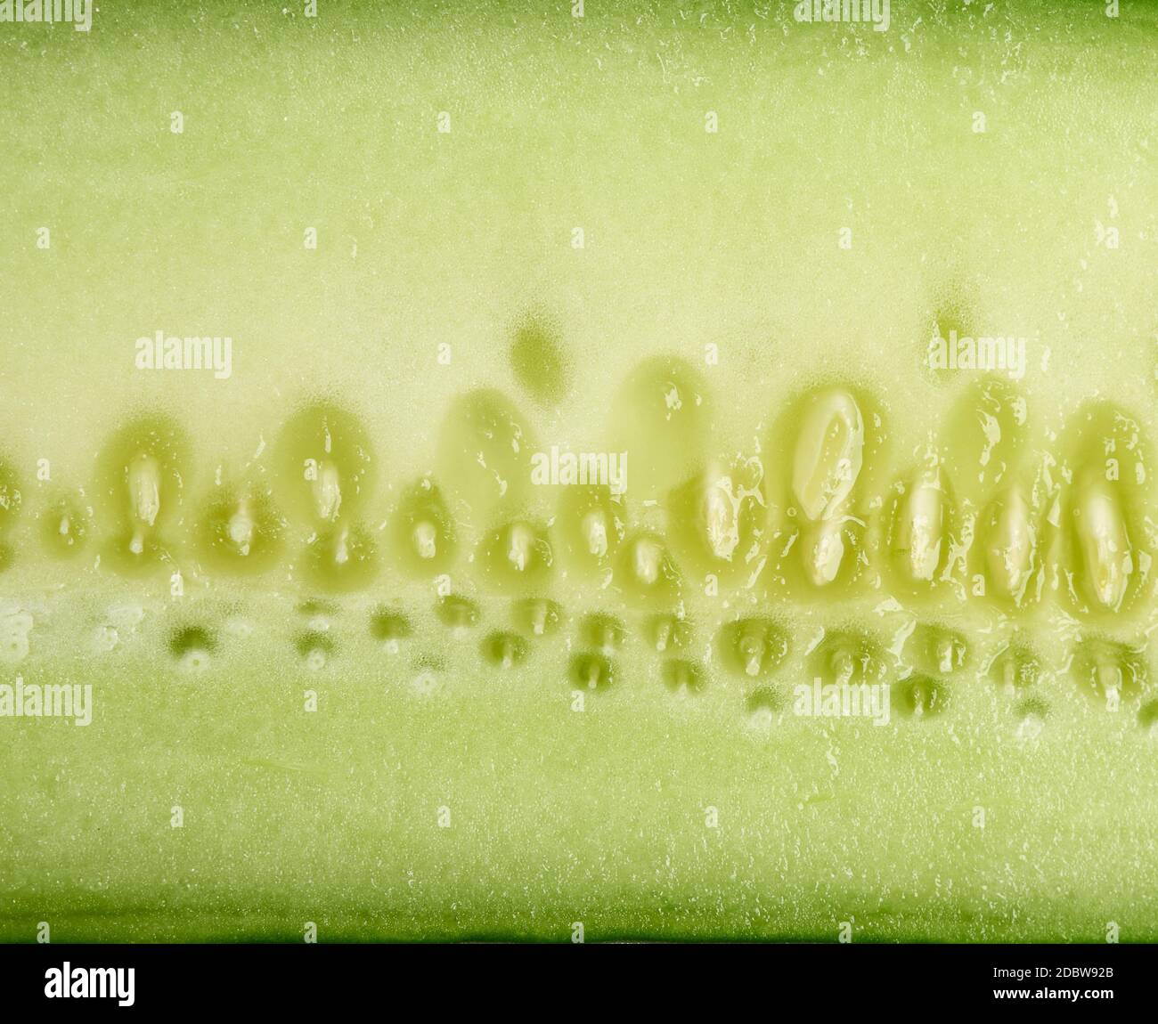 Green cucumber slice texture hi-res stock photography and images - Alamy