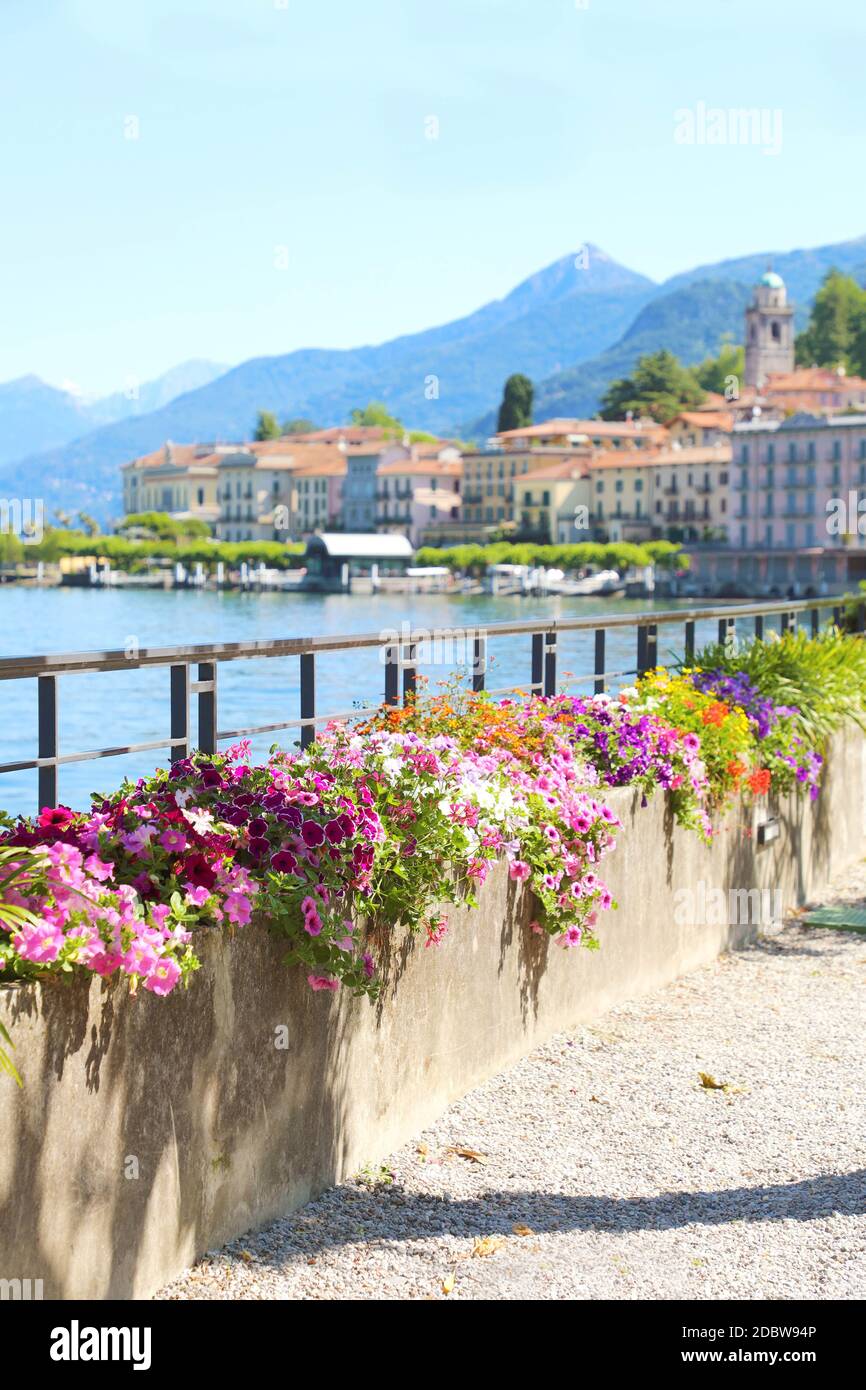 Walk along lake flowers hi-res stock photography and images - Alamy