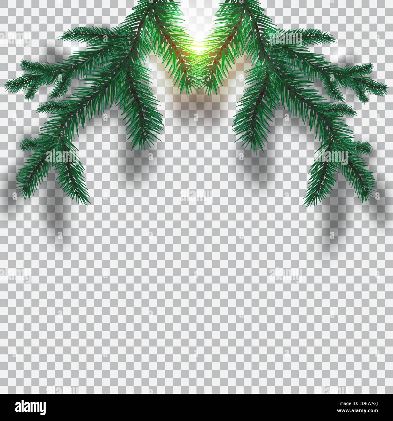 Two green blue realistic tree branch and its shadow. Against the ...