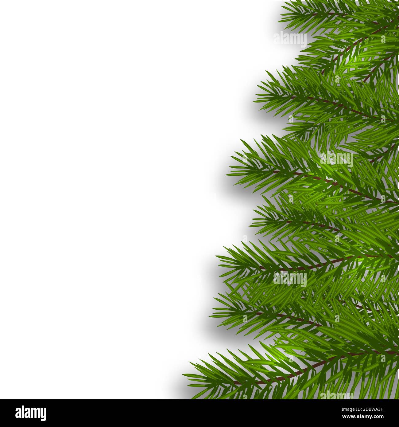 Green lush branch realistic ate with one hand and shadow. Isolated ...