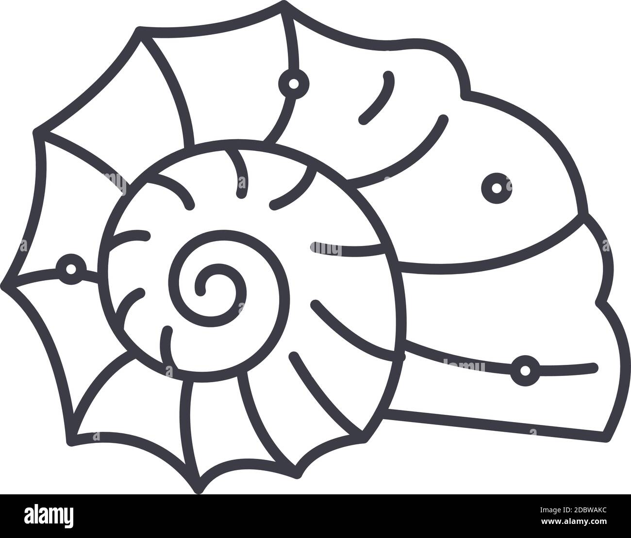 Spiral shell icon, linear isolated illustration, thin line vector, web ... Spiral shell icon, linear isolated illustration, thin line vector, web ...