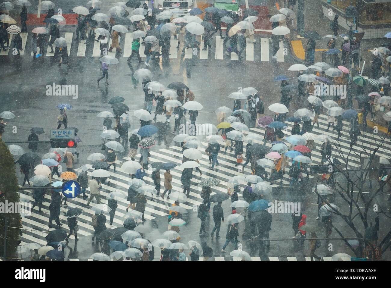 Rainfall in tokyo hi-res stock photography and images - Alamy