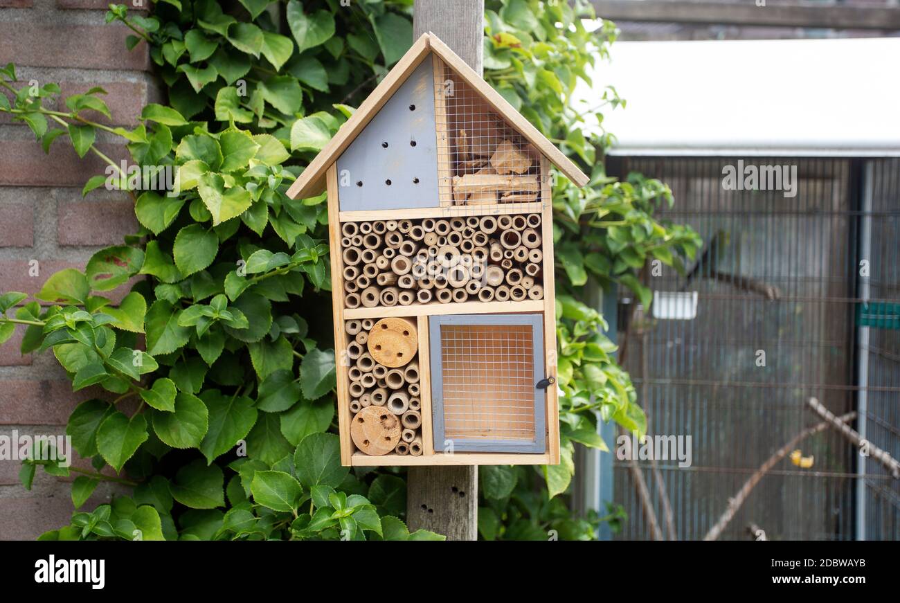 Craftsman built insect hotel decorative wood house with compartments ...