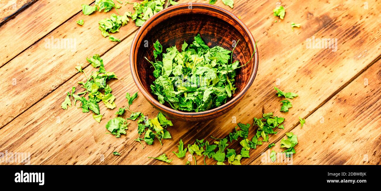 Condiment or spice made from dried green parsley Stock Photo - Alamy